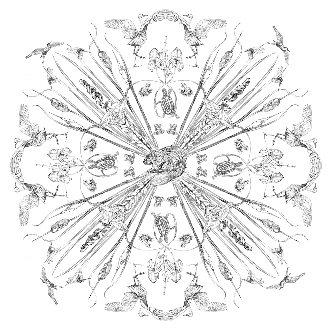 Metro Vancouver Naturehood Mandala Project – Draw In Nature Studio