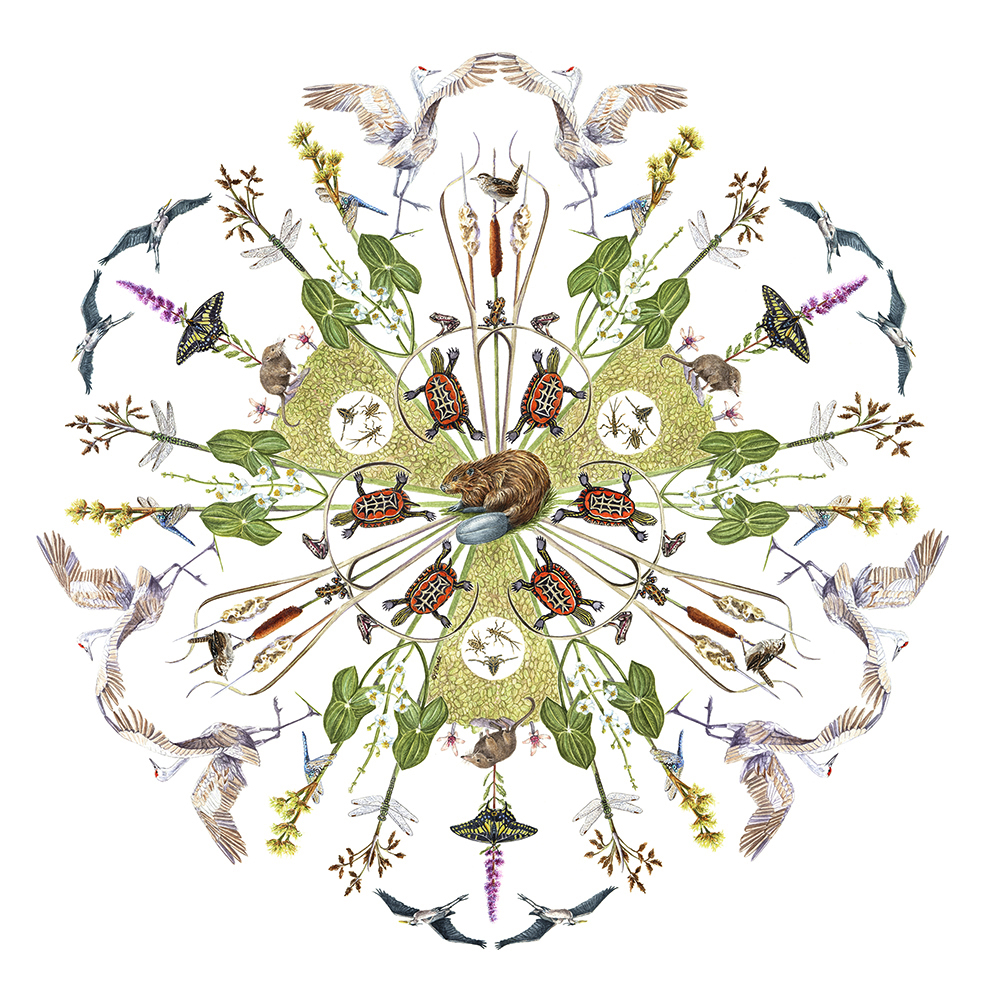 Metro Vancouver Naturehood Mandala Project – Draw In Nature Studio