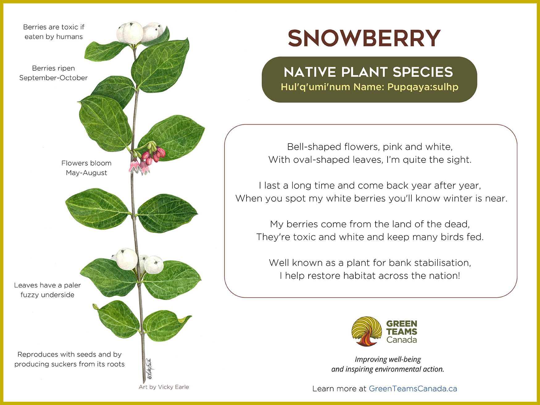 Gallery – Draw In Nature Studio