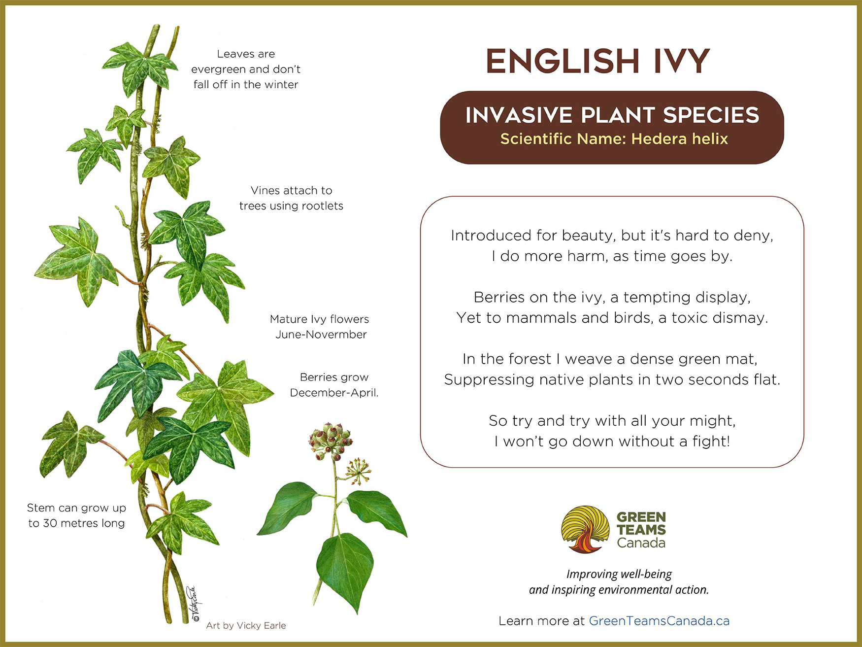 Gallery – Draw In Nature Studio