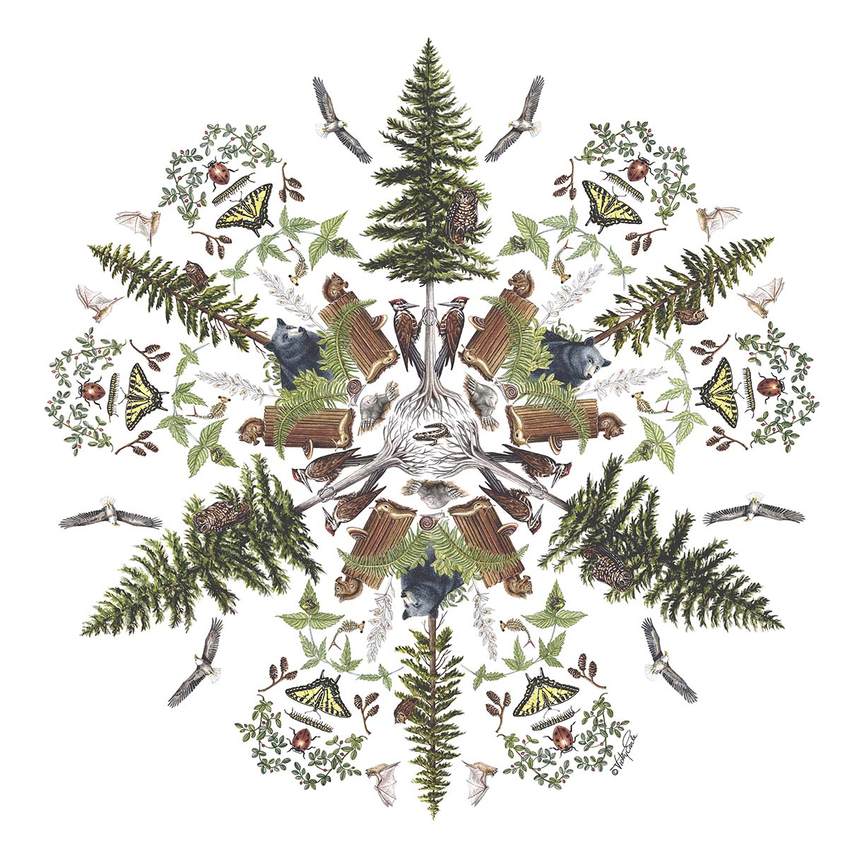 Metro Vancouver Naturehood Mandala Project – Draw In Nature Studio